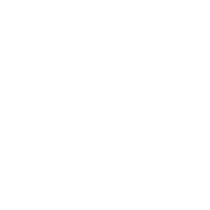 Home – Elsabi - Elsabi Micro Finance Institution S.c.